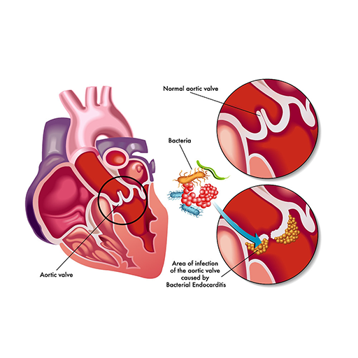 Family Care Hospitals